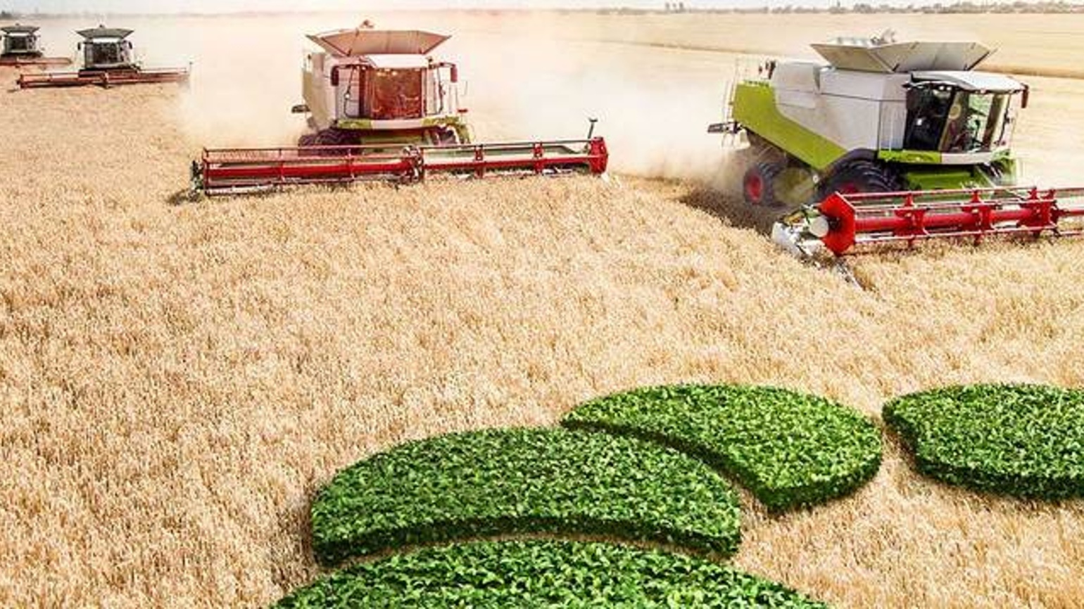 BASF Maroc - Division Agricultural Solutions