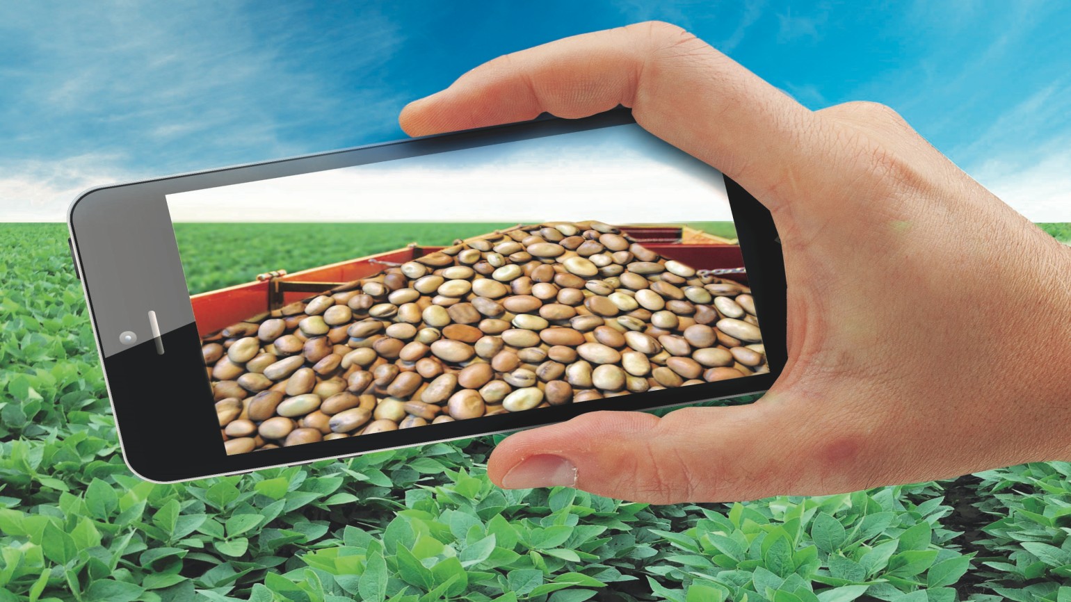 CORUM® + DASH® - Agricultural Solutions