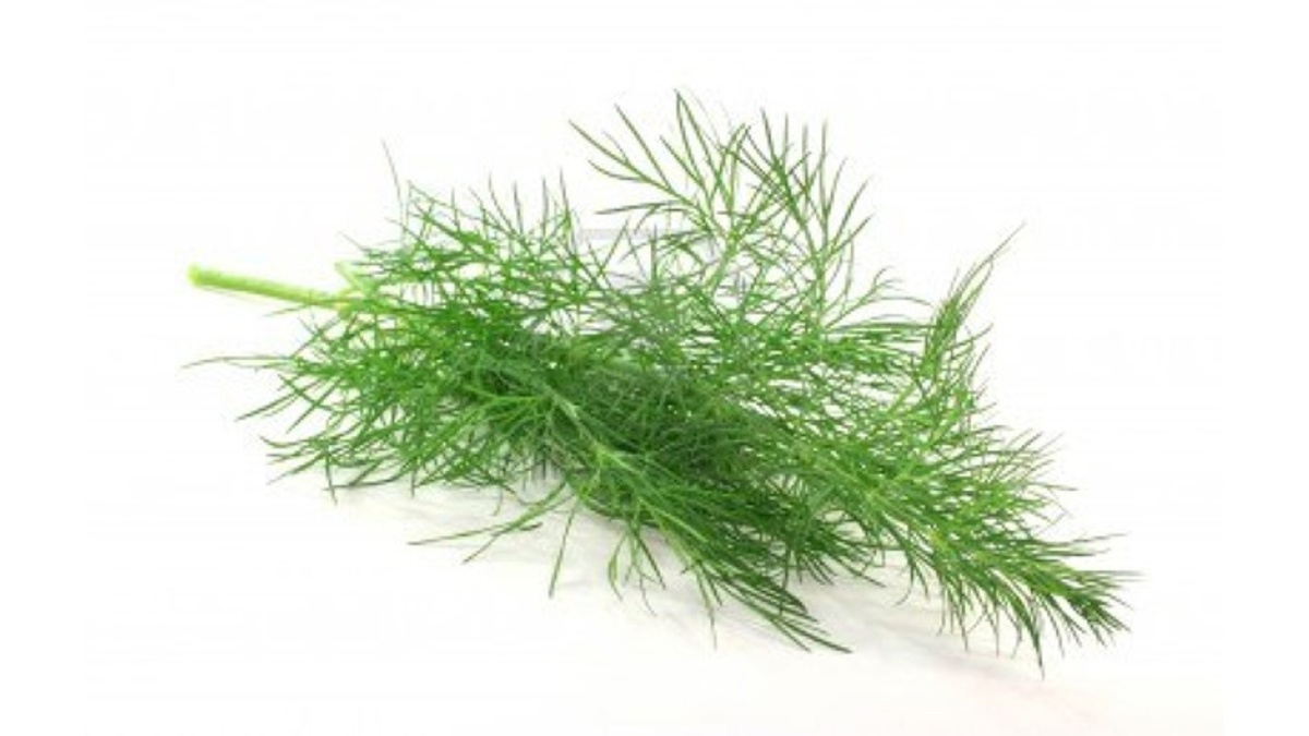 Aneth - Agricultural Solutions